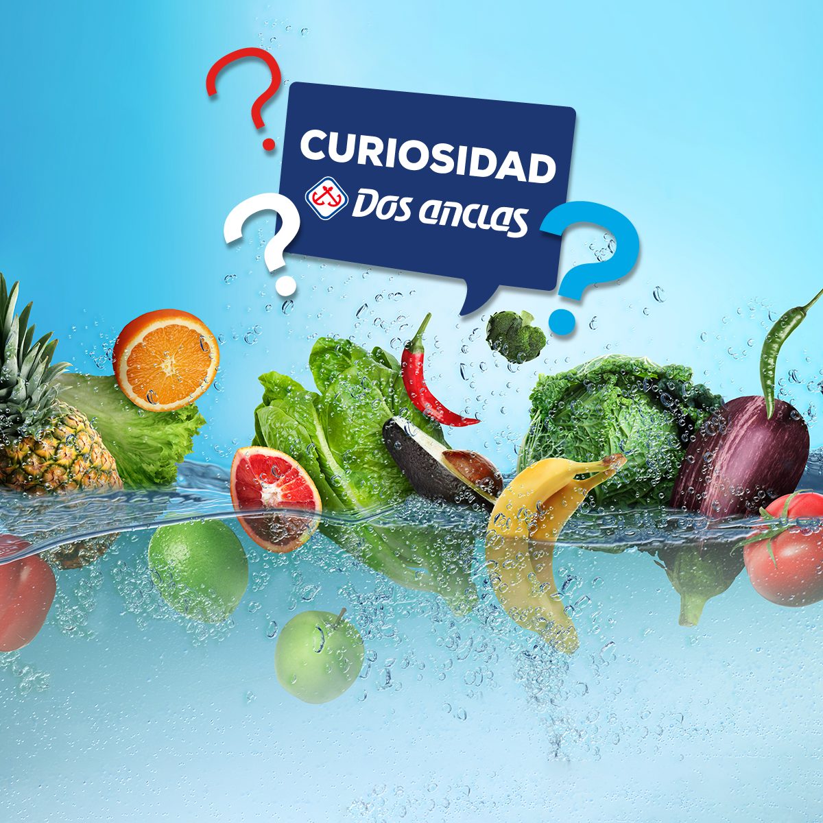 El agua en los alimentos – Dos Anclas
